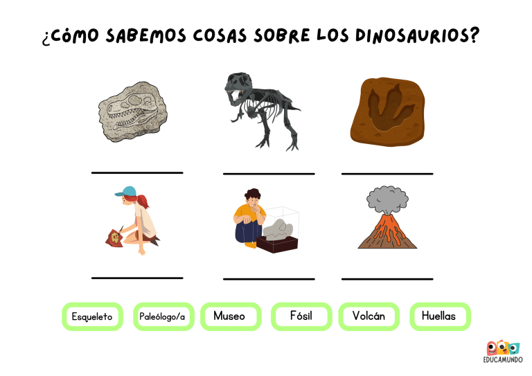 Actividades de dinosaurios preescolar