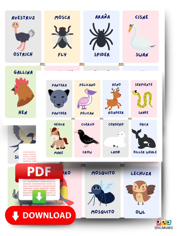 Animales en ingles y español FICHAS