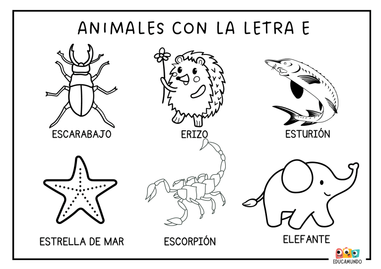 Dibujos con la letra E
