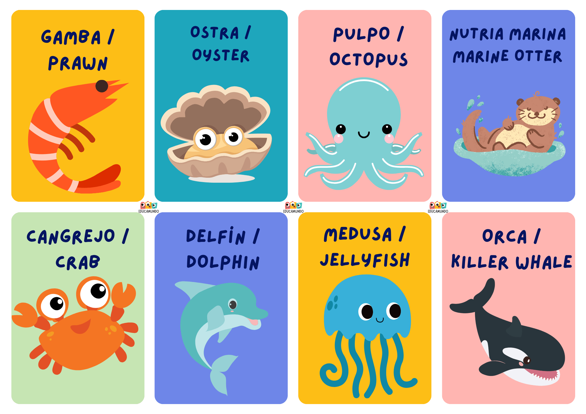 Animales marinos en inglés