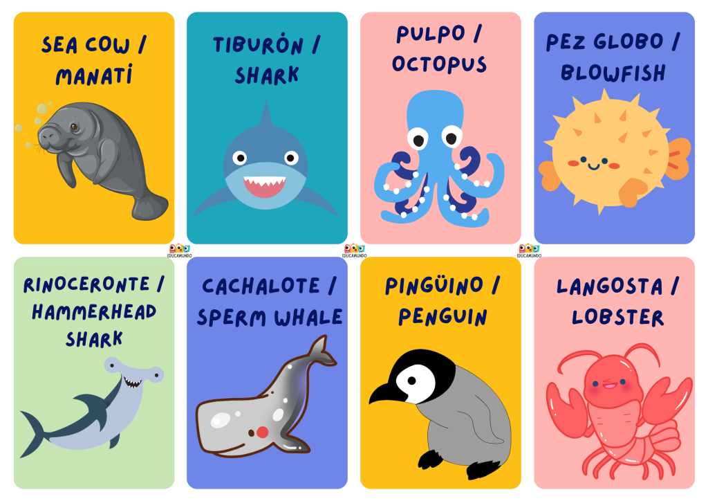 Animales marinos en inglés