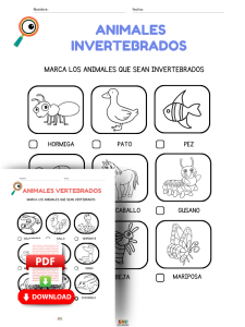 Hoja De Trabajo Animales Vertebrados E Invertebrados Pdf