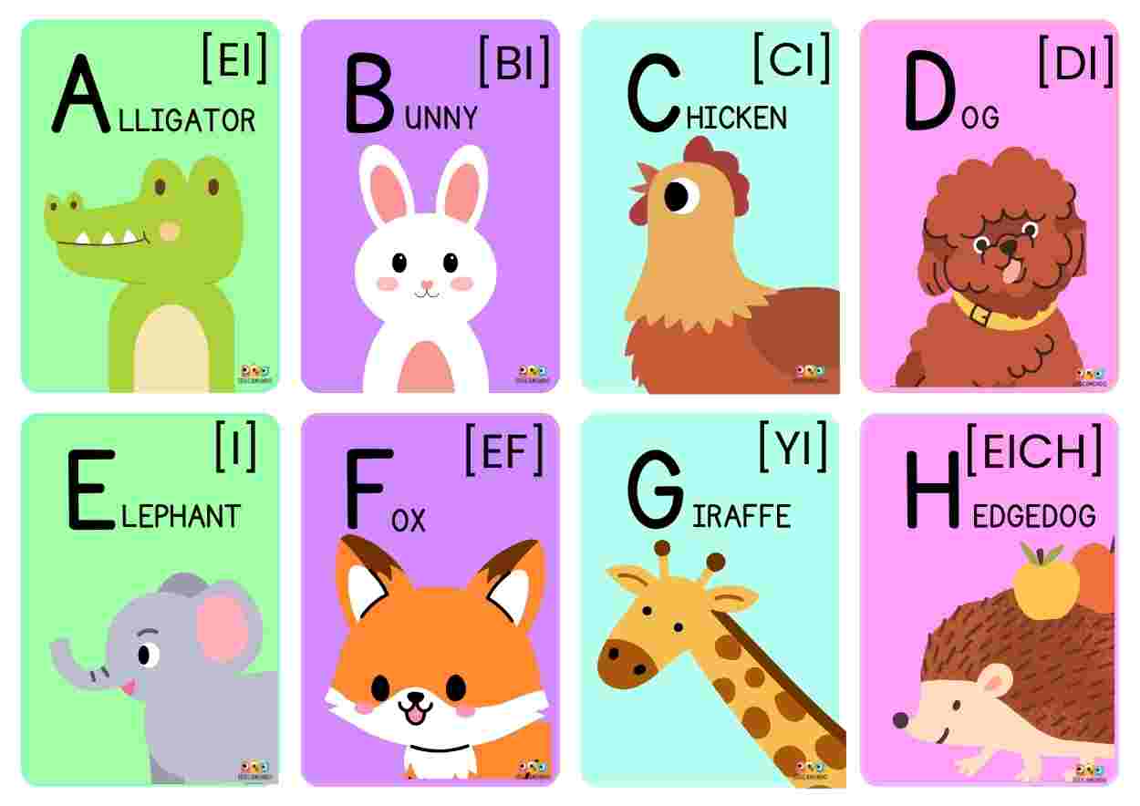 El abecedario en ingles y su pronunciacion | EducaMundo