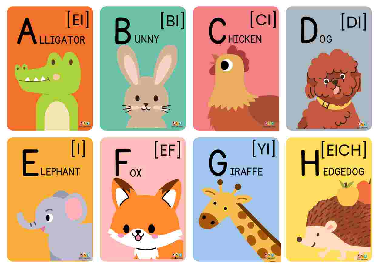 El abecedario en ingles y su pronunciacion | EducaMundo