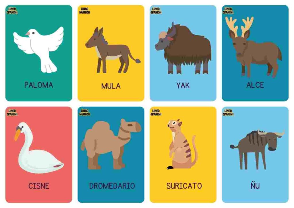 Animals in Spanish Flashcards - EducaMundo