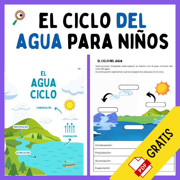 Ciclo De Evaporación Del Agua Para Niños 5 Actividades Divertidas